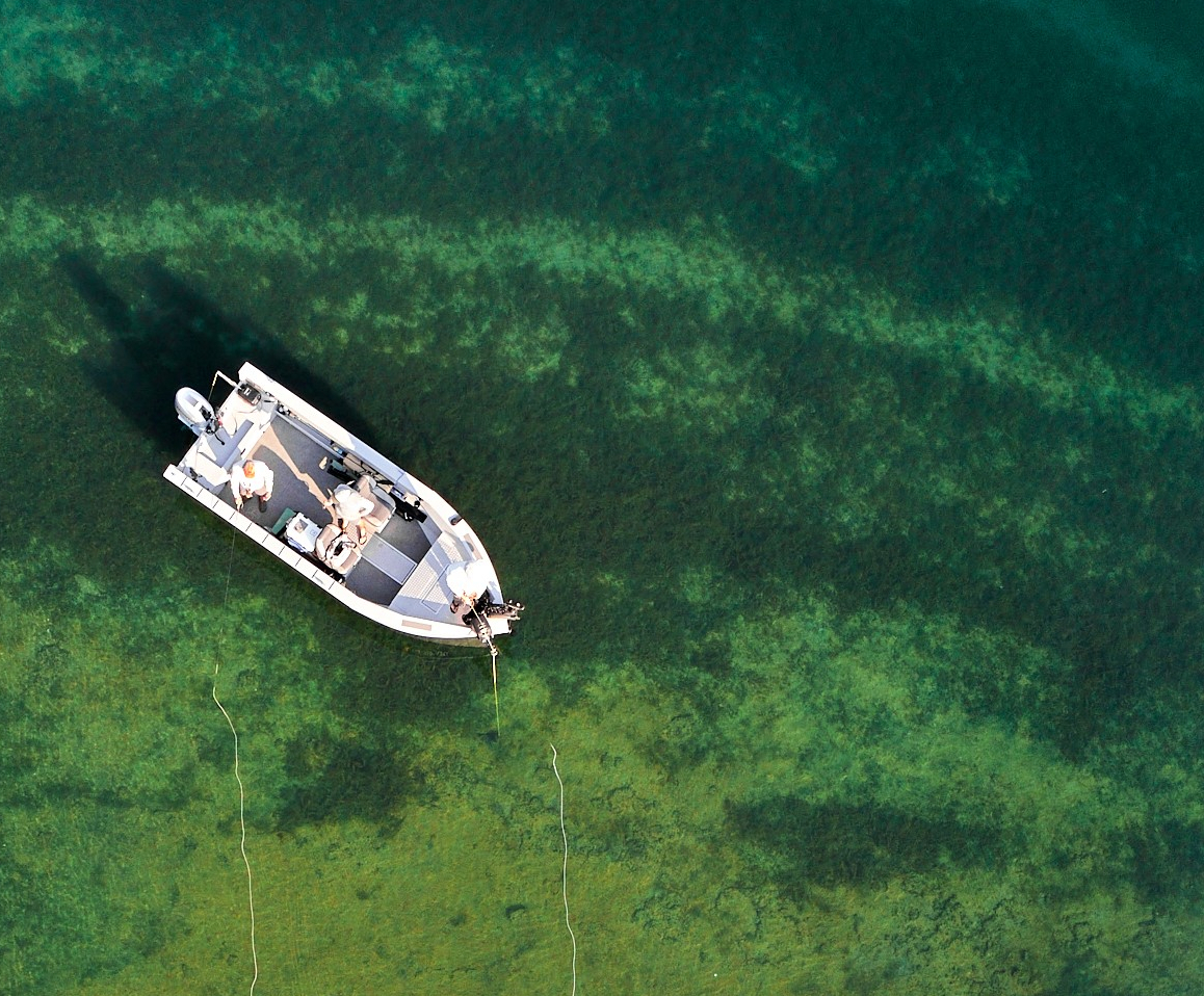 Cover 2 — The Fly Fishers Place