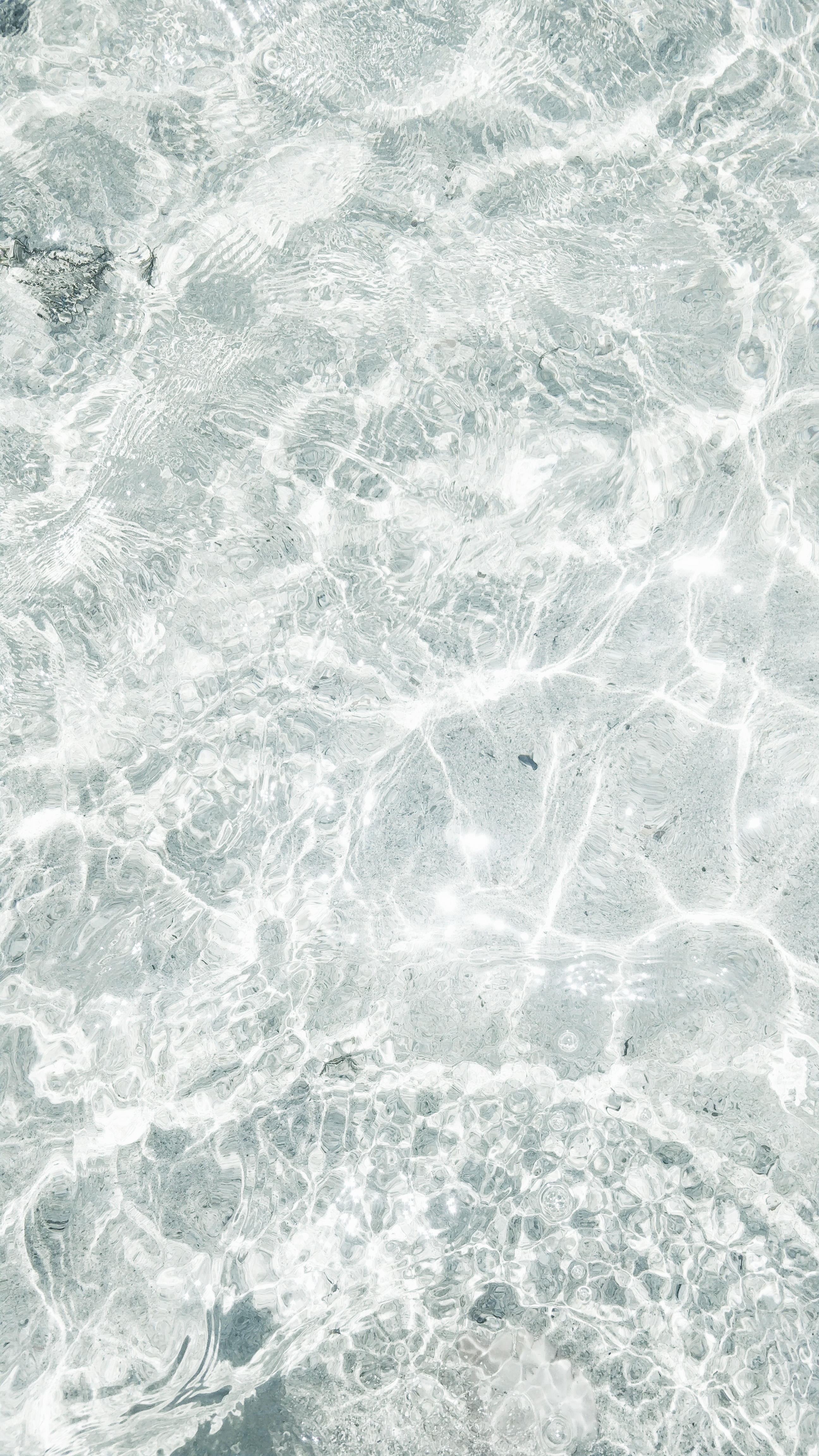 Website – The Fly Fishers Place