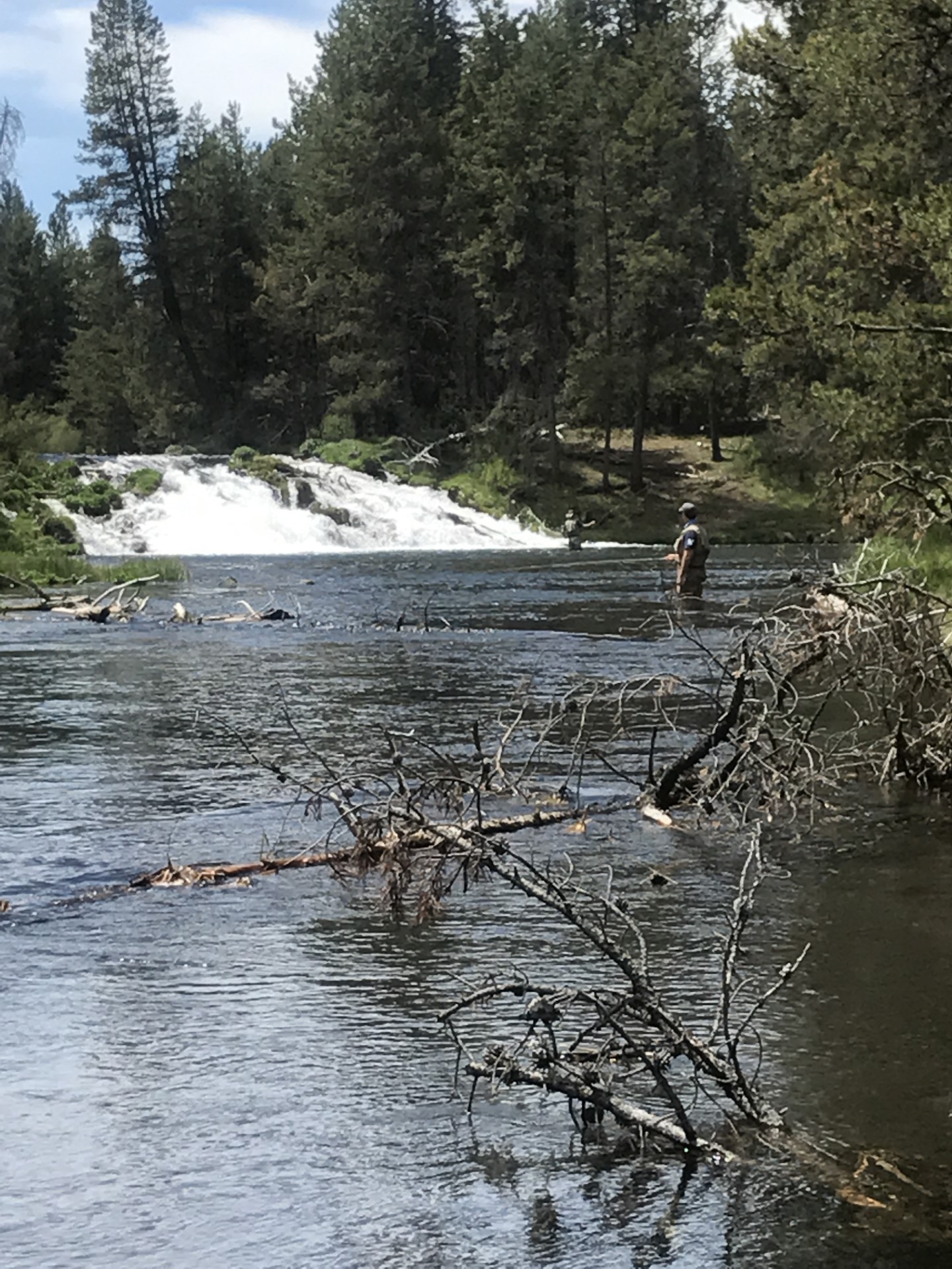 Fall River — The Fly Fishers Place