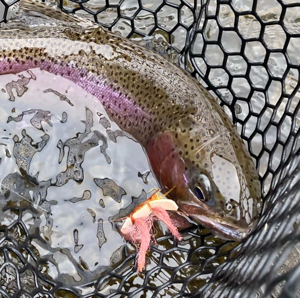 An early Memorial Day Weekend Fishing Report — The Fly Fishers Place